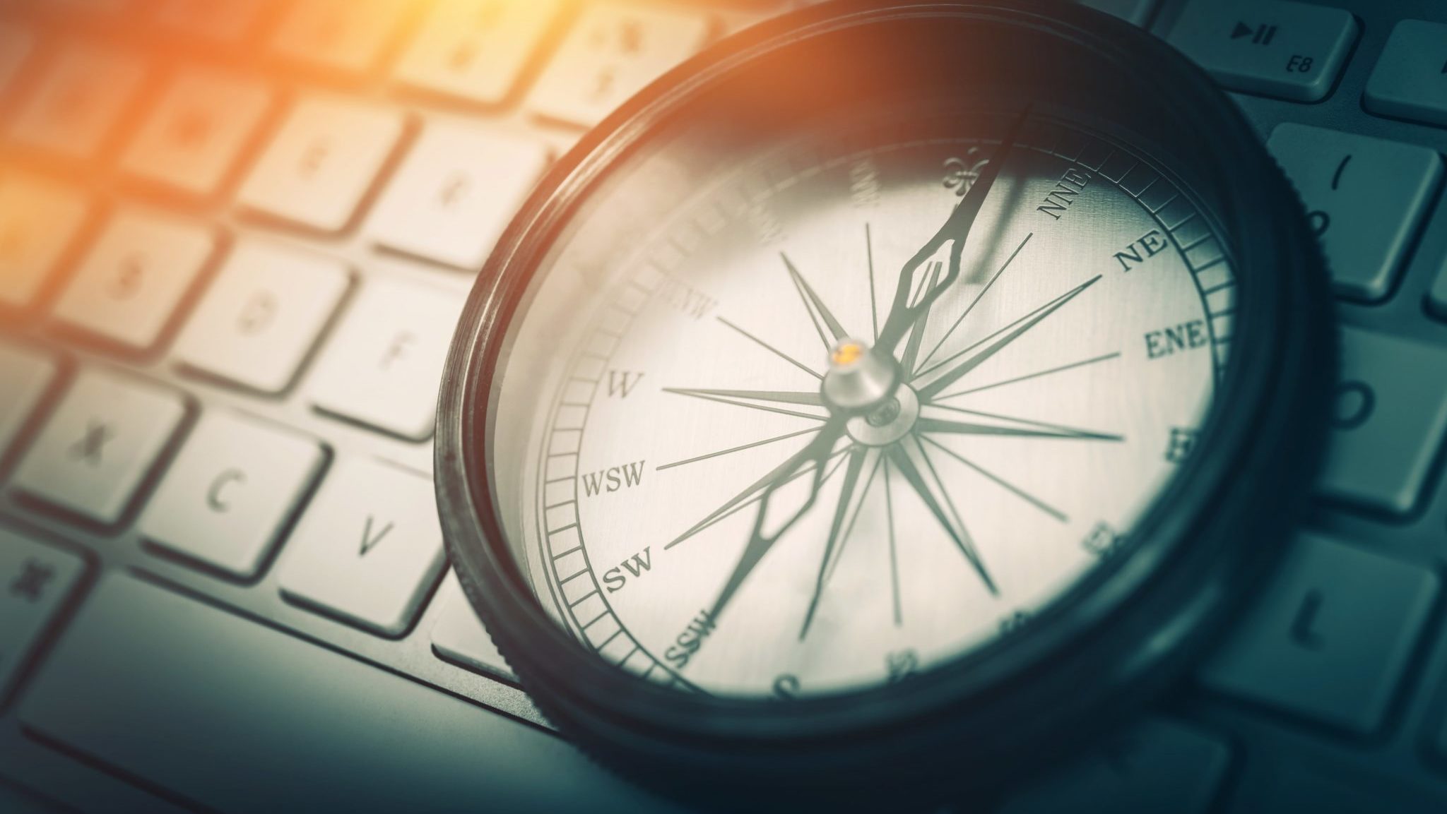 Navigieren leicht gemacht - "Live View" nun öffentlich zugänglich ...